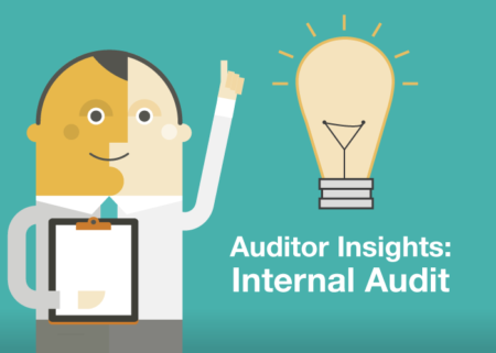 Auditor Insights: Day-to-Day Operations of Internal Audit ...